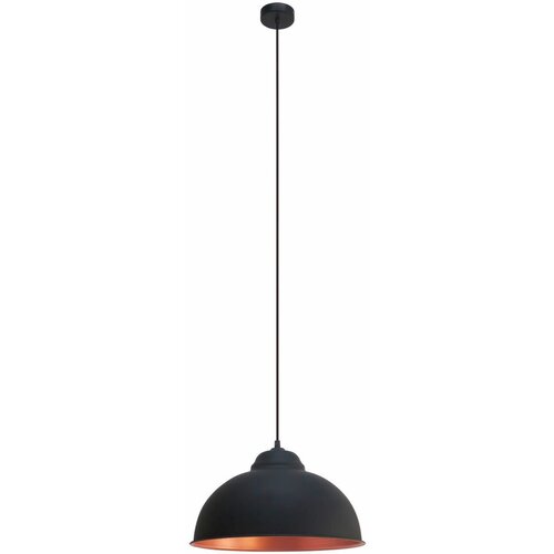 Потолочный светильник EGLO Truro 2 49247, E27, 60 Вт, кол-во ламп: 1 шт., цвет: черный