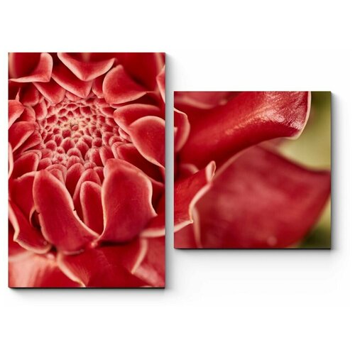 Модульная картина Сердце тропического цветка170x128