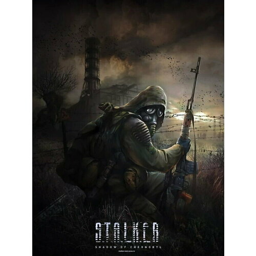 Плакат, постер на бумаге Stalker/Сталкер: Тень Чернобыля/игровые/игра/компьютерные герои персонажи. Размер 21 х 30 см