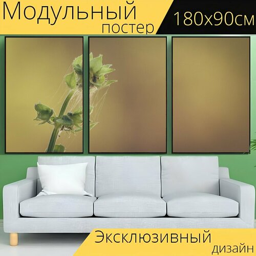 Модульный постер "Паутина, цветок, флора" 180 x 90 см. для интерьера