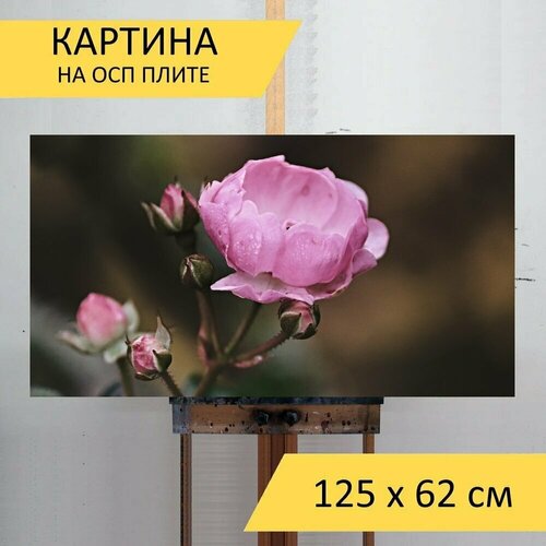 Картина на ОСП 125х62 см. "Роза, розовый, бутон" горизонтальная, для интерьера, с креплениями