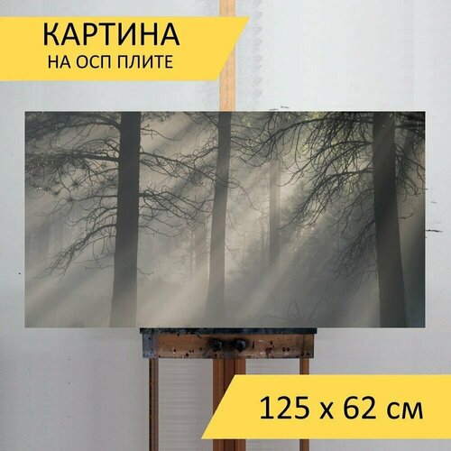 Картина на ОСП 125х62 см. "Свет, тени, туман" горизонтальная, для интерьера, с креплениями