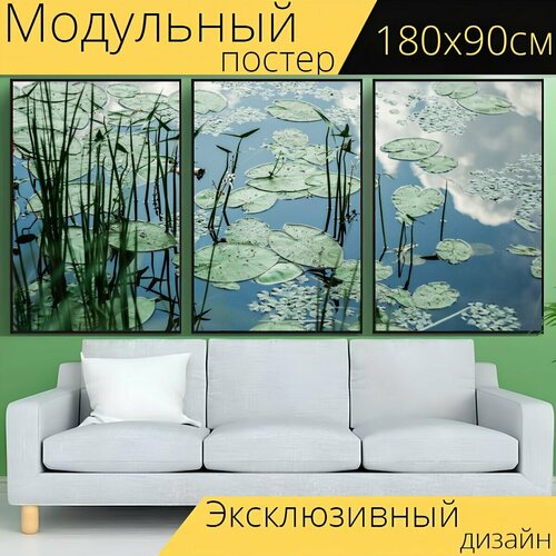 Модульный постер "Кувшинки, озеро, отражение" 180 x 90 см. для интерьера