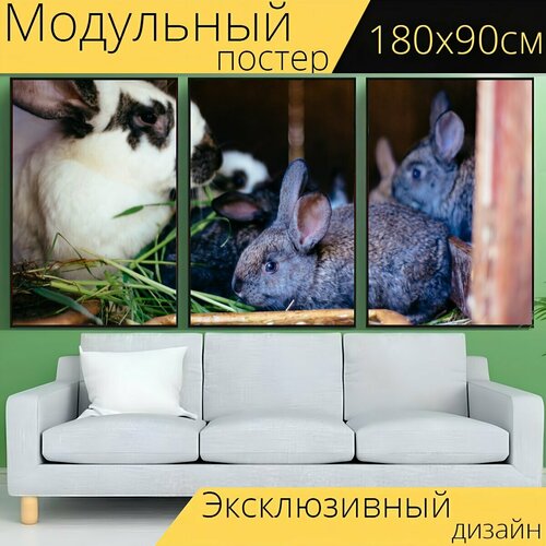 Модульный постер "Кролик, маленький кролик, заяц" 180 x 90 см. для интерьера