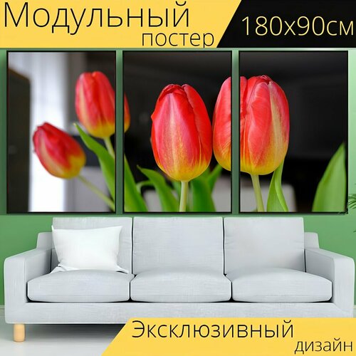 Модульный постер "Макро, природа, тюльпаны" 180 x 90 см. для интерьера