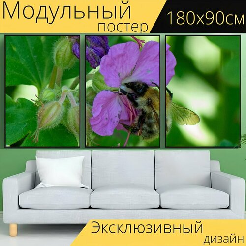 Модульный постер "Пчела, цветок, опыление" 180 x 90 см. для интерьера