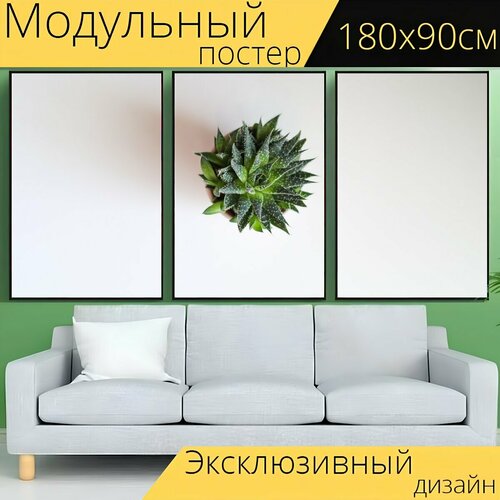 Модульный постер "Кактус, завод, зеленый" 180 x 90 см. для интерьера