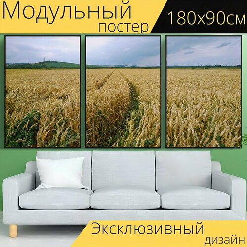Модульный постер "Поле, зерновой, летом" 180 x 90 см. для интерьера