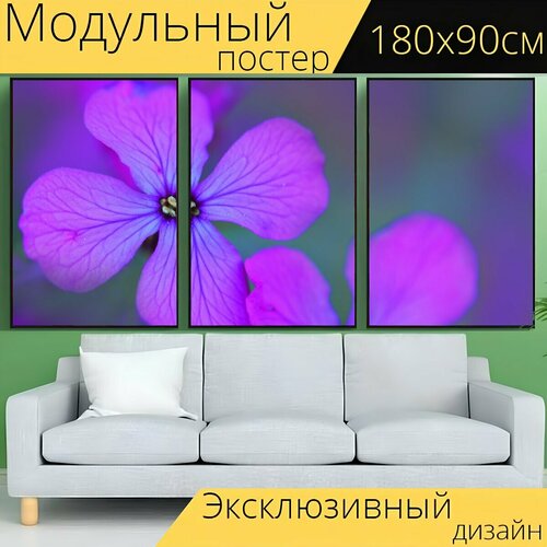 Модульный постер "Цветок, цвести, фиолетовый" 180 x 90 см. для интерьера