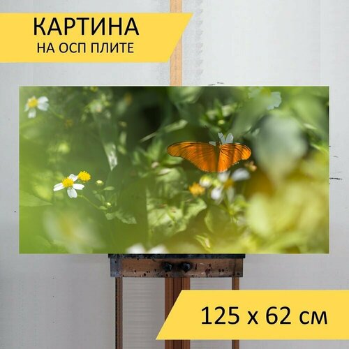 Картина на ОСП 125х62 см. "Юлия хеликонян, дриас юлия, апельсин" горизонтальная, для интерьера, с креплениями