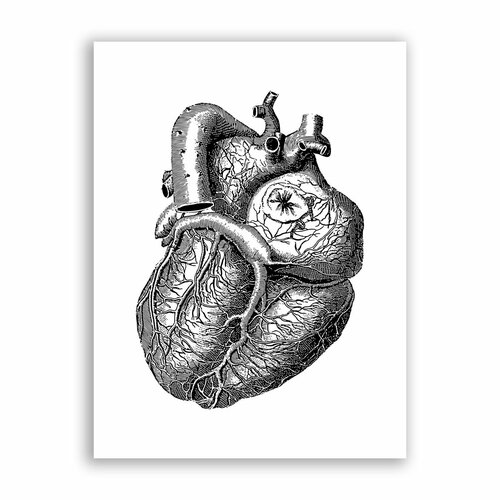Постер плакат на бумаге / Черно-белые - Сердце / Размер 40 x 53 см
