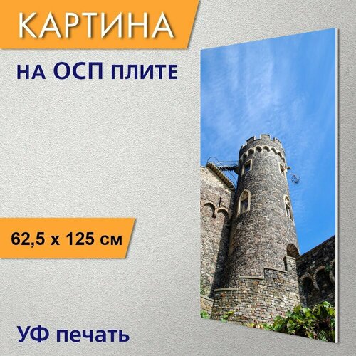 Вертикальная картина на ОСП "Германия, замок со стразами, рейн" 62x125 см. для интерьериа