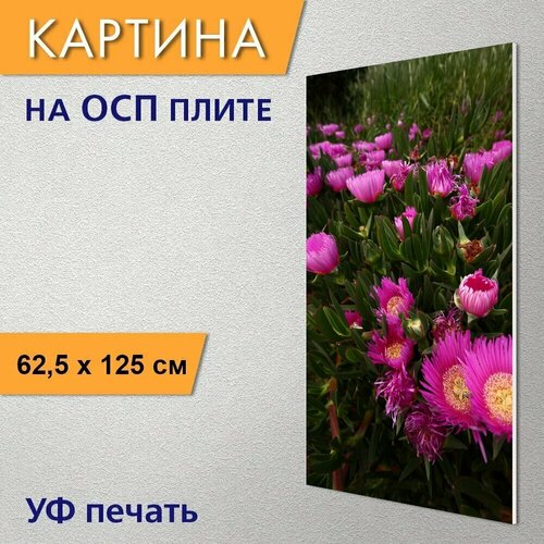 Вертикальная картина на ОСП "Природа, цветок, трава" 62x125 см. для интерьериа