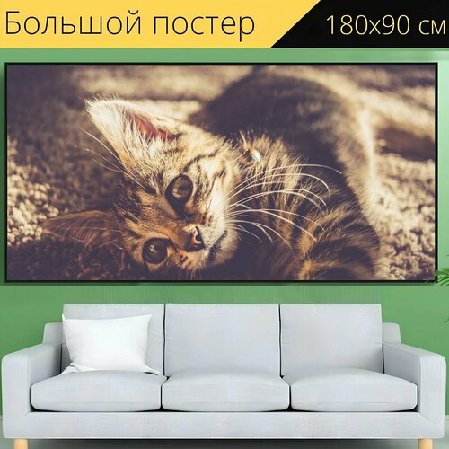 Большой постер "Ковровая дорожка, котенок, кошка" 180 x 90 см. для интерьера