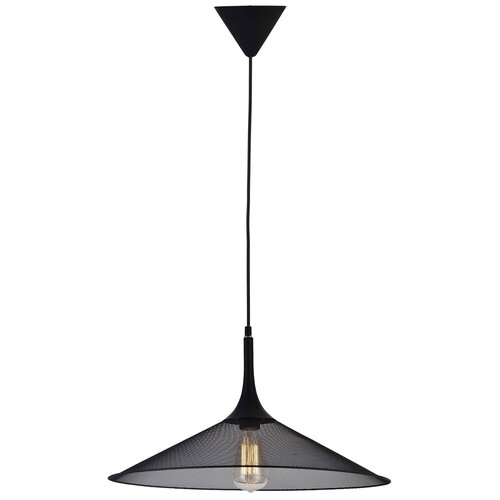 Светильник Lussole Cheektowaga LSP-9813, E27, 60 Вт, кол-во ламп: 1 шт., цвет: черный
