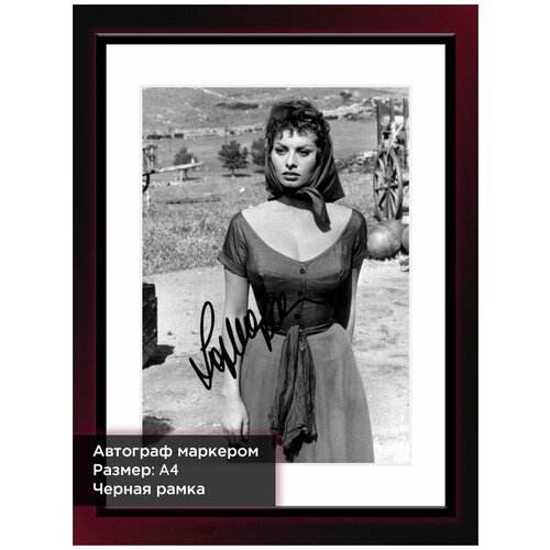 Постер в раме с автографом Софи Лорен, А4, черная рама