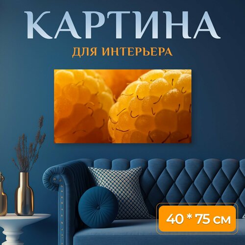 Картина на холсте "Малина, желтая малина, фрукты" на подрамнике 75х40 см. для интерьера
