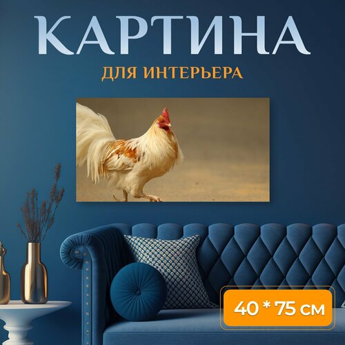 Картина на холсте "Курица, петух, птица" на подрамнике 75х40 см. для интерьера