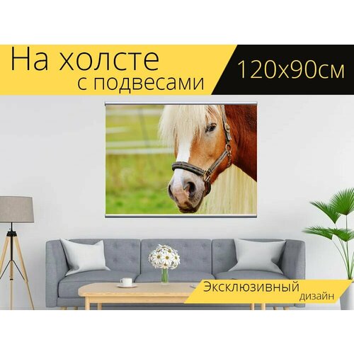 Картина на холсте "Лошадь, животное, езда на лошади" с подвесами 120х90 см. для интерьера