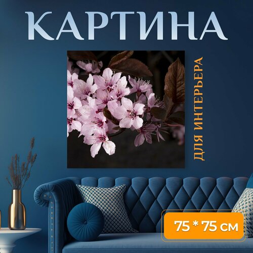 Картина на холсте "Цветок, весна, радость" на подрамнике 75х75 см. для интерьера