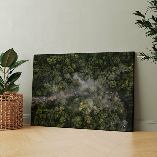 Картина на холсте(Лесной массив, вид сверху) 60 80 см/ для интерьера/на стену/в комнату/в подарок/в кабинет/в кафе