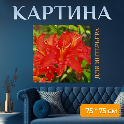 Картина на холсте "Цветок, красный, летом" на подрамнике 75х75 см. для интерьера