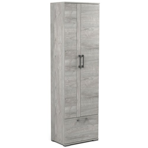 Шкаф для одежды СБК Денвер Д-2, (ШхГхВ): 60х38х202 см, риббек серый