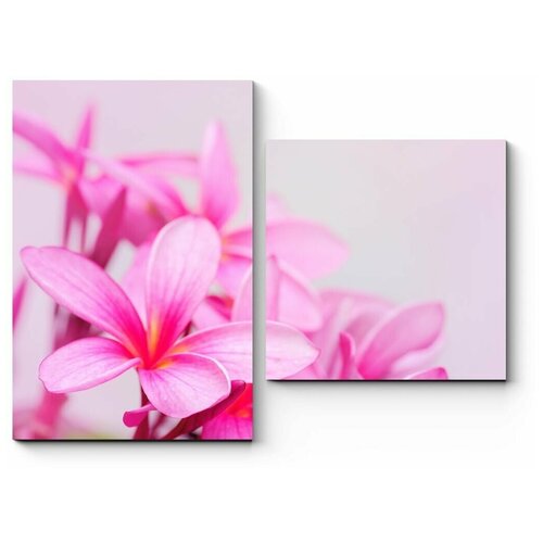 Модульная картина Свежие тропические цветы 110x83