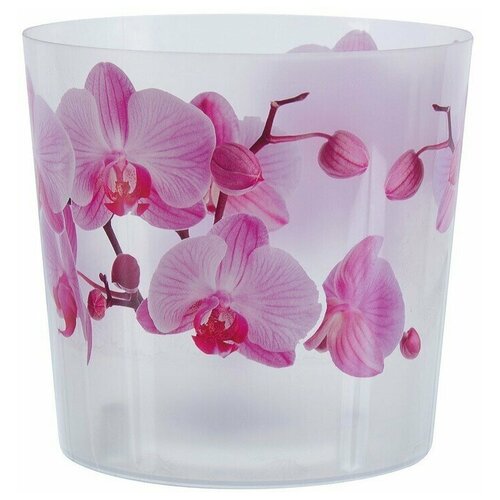 Горшок для орхидей прозрачный 15,5 см. 2,4 л.