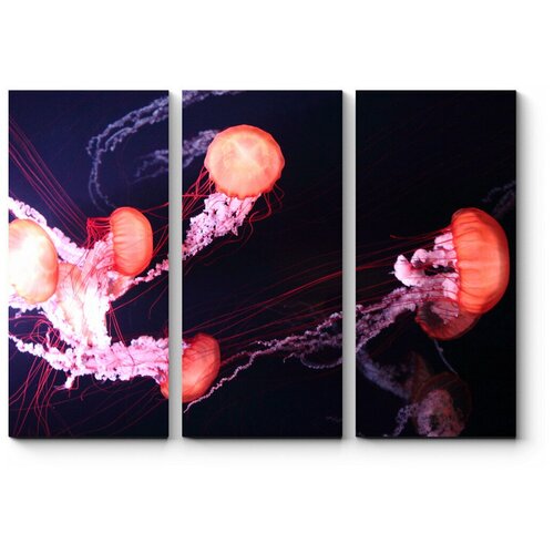 Модульная картина Танец медуз 130x93