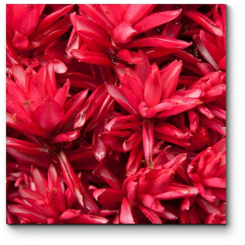 Модульная картина Красные тропические цветы50x50
