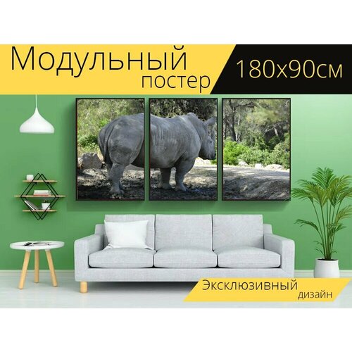 Модульный постер "Носорог, носороги, черный носорог" 180 x 90 см. для интерьера