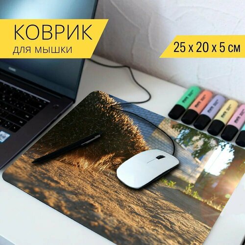 Коврик для мыши с принтом "Природа, ёжик, живая природа" 25x20см.