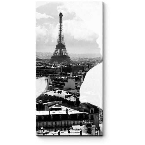 Модульная картина Очарование Парижем 20x40