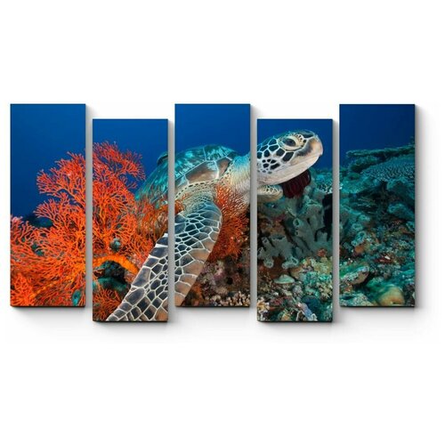 Модульная картина Морская черепаха в кораллах210x121