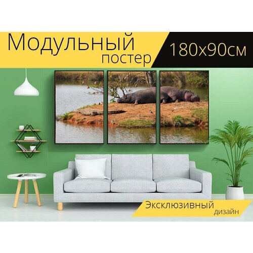 Модульный постер "Бегемот, крокодил, сафари" 180 x 90 см. для интерьера