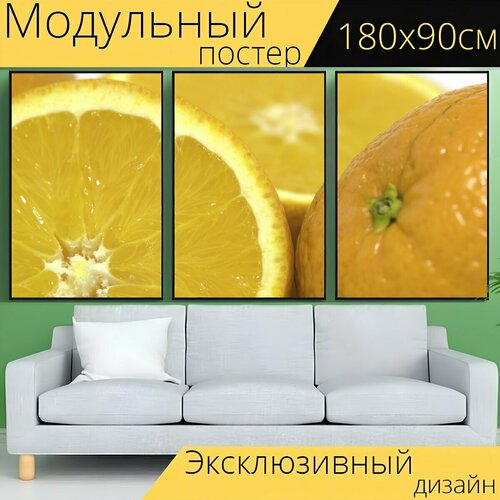 Модульный постер "Апельсин, фрукты, питание" 180 x 90 см. для интерьера