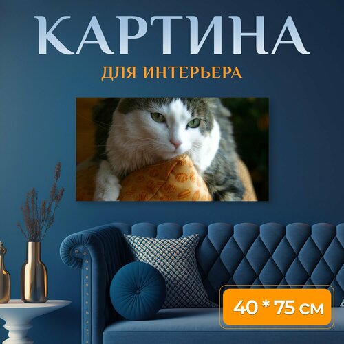 Картина на холсте "Кот, животные, домашнее животное" на подрамнике 75х40 см. для интерьера