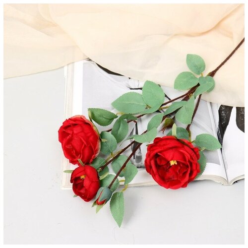 Цветы искусственные "Роза пионовидная галант" 7х61 см, красный