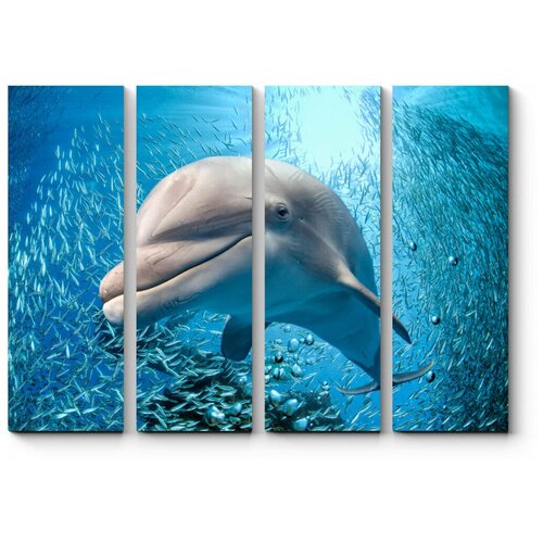 Модульная картина Улыбка дельфина 140x105