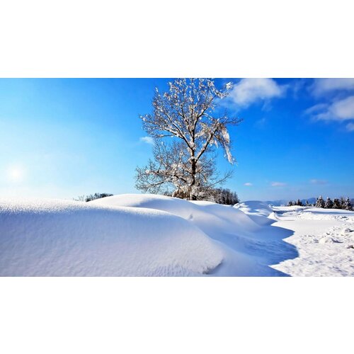 Картина на холсте 60x110 LinxOne "Зима небо снег дерево сугроб" интерьерная для дома / на стену / на кухню / с подрамником