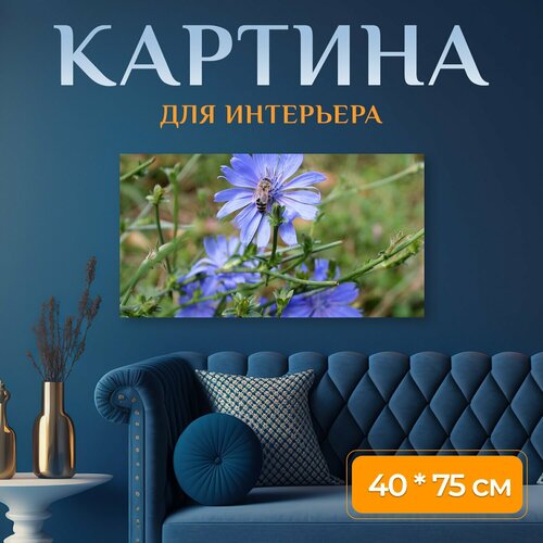 Картина на холсте "Цикорий, полевой цветок, синий" на подрамнике 75х40 см. для интерьера