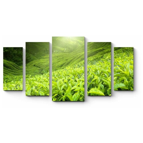 Модульная картина Бескрайняя зелень полей 190x105