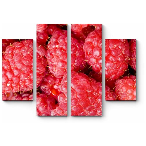 Модульная картина Крупные ягоды малины 120x90