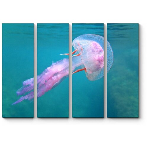Модульная картина Опасная розовая красавица-медуза 140x105