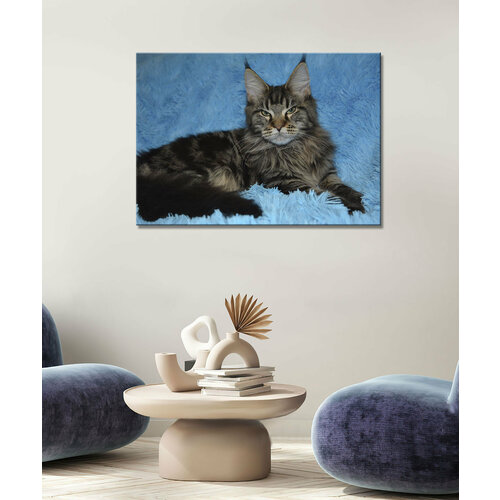 Картина - кошка, мейн-кун, домашняя кошка, ласковая кошка, кот (279) 60х80