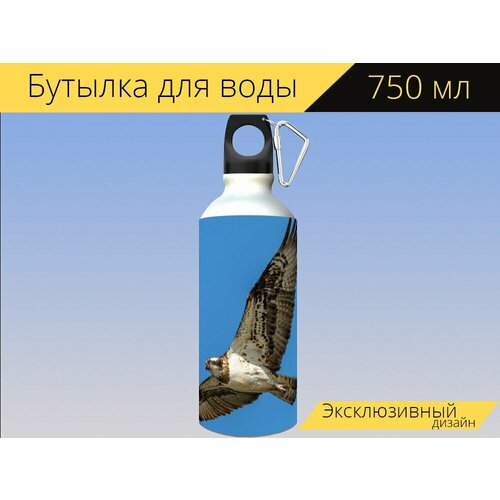 Бутылка фляга для воды "Orlovec, хищник, птица" 750 мл. с карабином и принтом