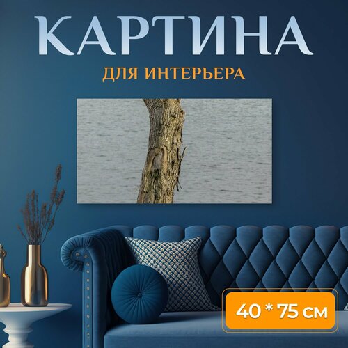 Картина на холсте "Кипр, протарас, дерево" на подрамнике 75х40 см. для интерьера