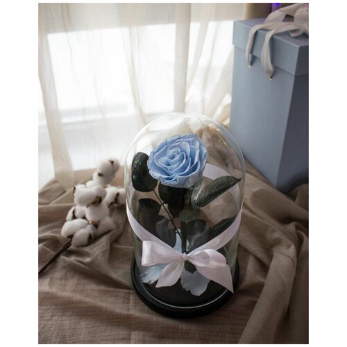 Роза в колбе живая Premium, подарочный набор для женщины, девочки, мамы, долговечный букет GIFT4YOU