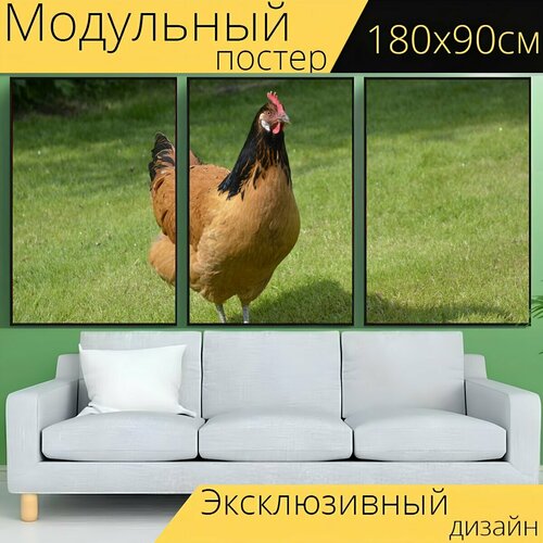 Модульный постер "Курица, сад, домашняя птица" 180 x 90 см. для интерьера